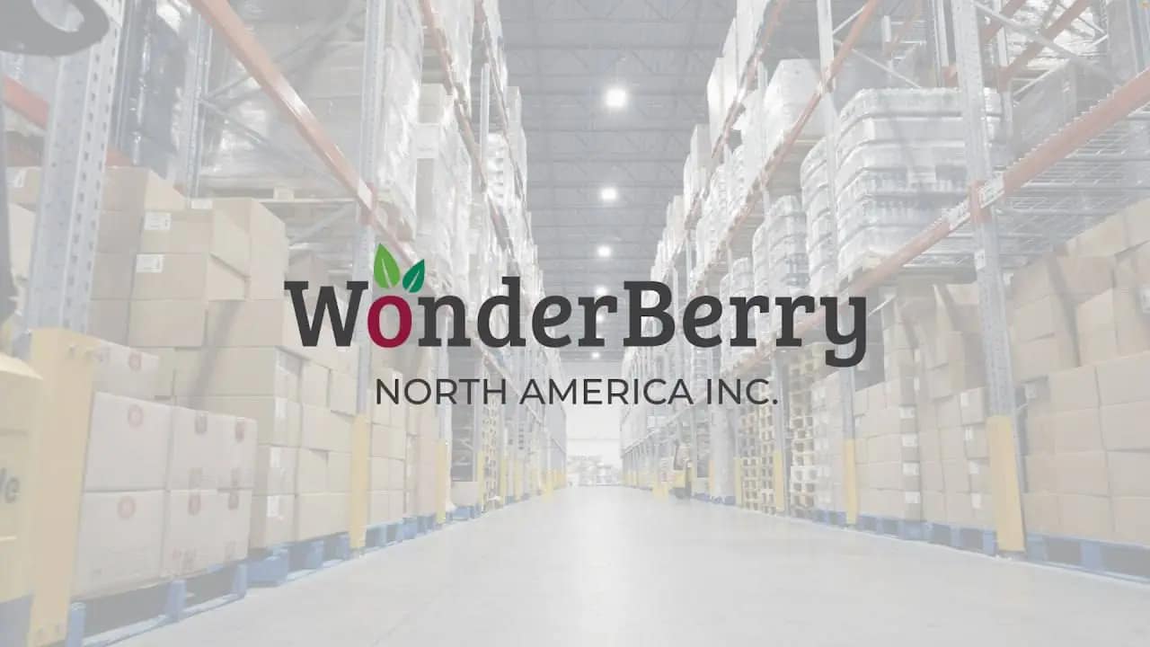 European Distributor | Wonder Berry | Wholesale Groceries
